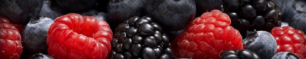 Bienfaits des anthocyanes sur la santé - DrSoleil