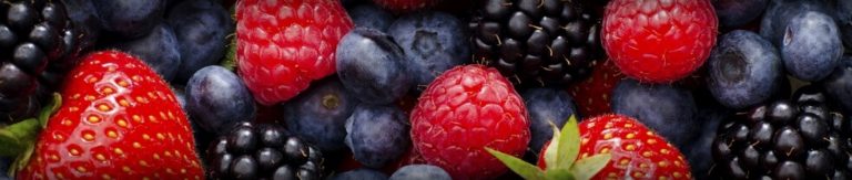 Bienfaits des anthocyanes sur la santé - DrSoleil