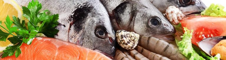 TOP 10 des aliments riches en vitamine B12 (cobalamine) - DrSoleil