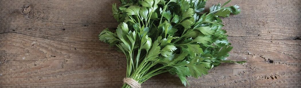 Bienfaits du persil sur la santé - DrSoleil