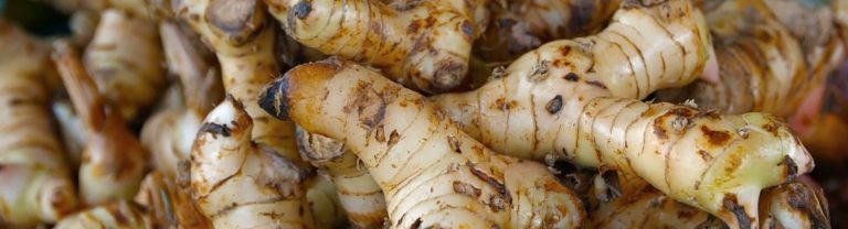 Bienfaits du galanga sur la santé - DrSoleil