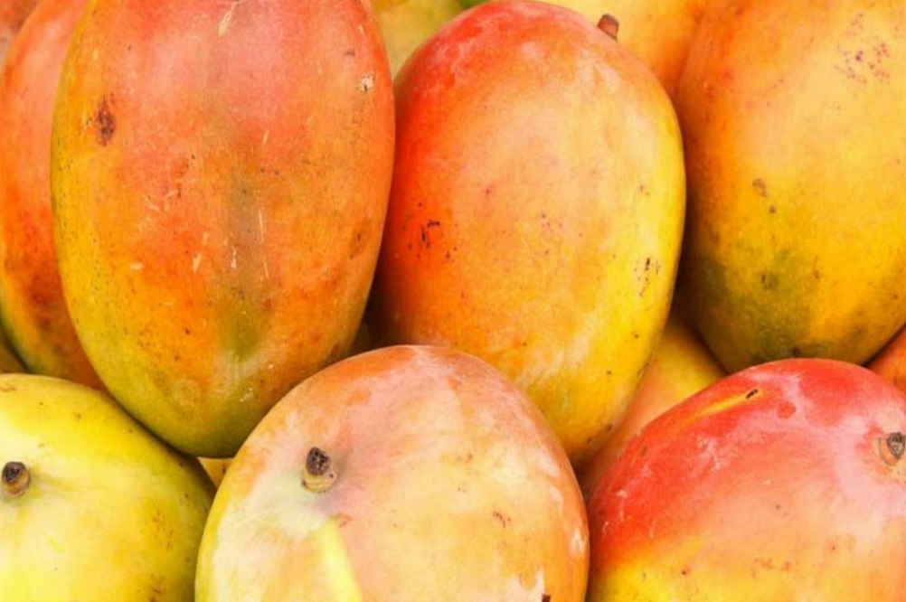 Bienfaits de la mangue africaine sur la santé - DrSoleil