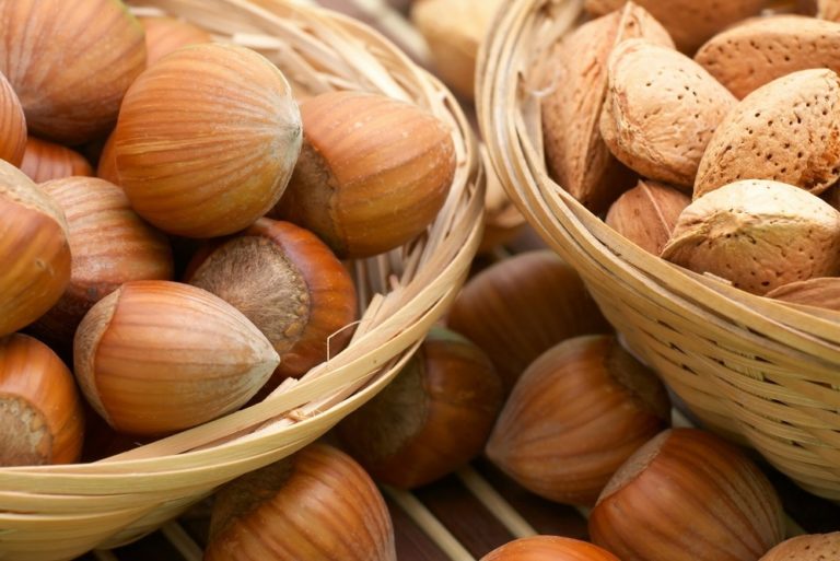 Bienfaits des différents types de noix sur la santé - DrSoleil