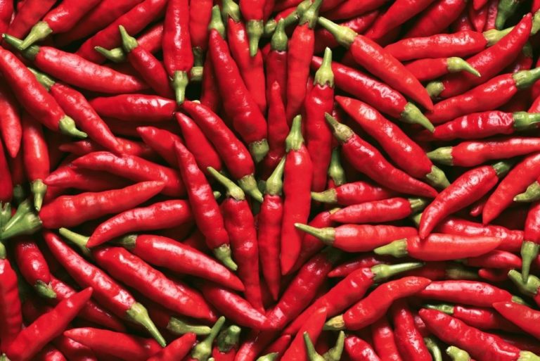 Bienfaits de la capsaïcine sur la santé - DrSoleil
