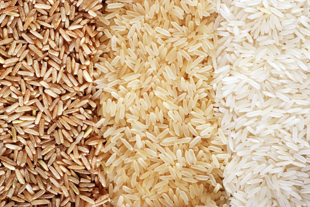 Bienfaits de la protéine de riz brun sur la santé - DrSoleil