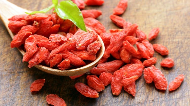 Les glands sont-ils comestibles ? (+ bienfaits sur la santé) - DrSoleil