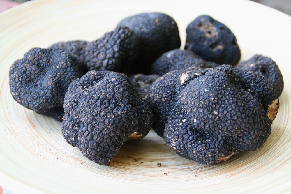 Bienfaits des truffes sur la santé - DrSoleil