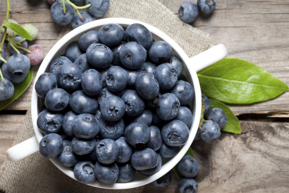 Bienfaits des myrtilles sur la santé (+ valeur nutritive) - DrSoleil