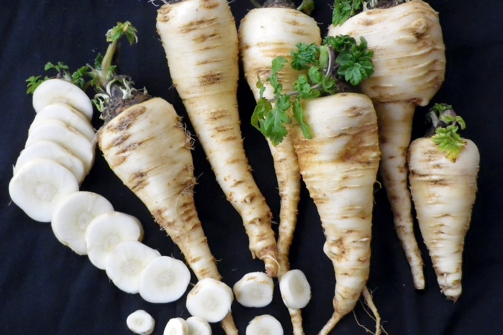Bienfaits du panais sur la santé - DrSoleil