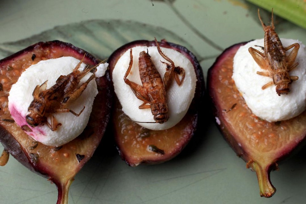 Insectes comestibles : des saveurs pour tous les goûts ! - DrSoleil