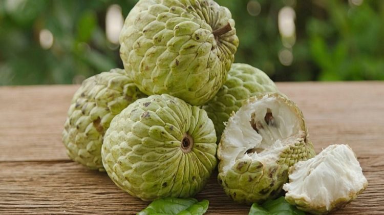 Bienfaits du sel de mer celtique sur la santé - DrSoleil