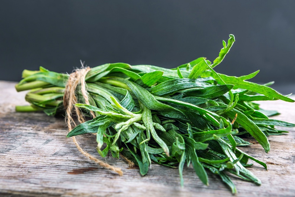 Estragon : un incontournable de la cuisine française - DrSoleil